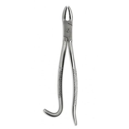 7" offset Wolf incisor tooth forcep﻿ : Dentstar International